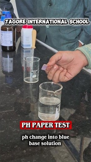 pH Paper Test in Chemistry | Acid vs Base Experiment | Class 7–9 Science #shorts