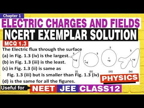 🔥 NCERT Exemplar Class 12 Physics Chapter 1 MCQ 1.3 Solutions | Electric Charges and Fields