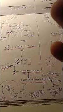 Retention of neural pattern-key to crack problems-acharya vishvendra #neetphysics#jeephysics