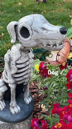 1.1K views · 20 reactions | A Menagerie of Skeleton Creatures in West St. Paul | West St. Paul Reader | Facebook