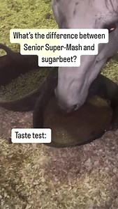 𝗦𝗲𝗻𝗶𝗼𝗿 𝗦𝘂𝗽𝗲𝗿-𝗠𝗮𝘀𝗵 ~ 𝑇ℎ𝑒 𝑢𝑙𝑡𝑖𝑚𝑎𝑡𝑒 𝑠𝑒𝑛𝑖𝑜𝑟 𝑚𝑎𝑠ℎ 𝑓𝑜𝑟 𝑐𝑜𝑛𝑑𝑖𝑡𝑖𝑜𝑛 & 𝑔𝑢𝑡 ℎ𝑒𝑎𝑙𝑡ℎ 👉 https://www.spillers-feeds.com/senior-super-mash 💜Fast soaking fibre blend, ideal for all senior horses & ponies, especially those with poor teeth. 💜High in digestible fibre & includes live yeast, FOS & MOS to help maintain digestive health & condition. 💜Whole cereal & molasses free, low sugar (2.5%) & starch (8%) recipe suitable for those prone to laminitis. 💜Conta