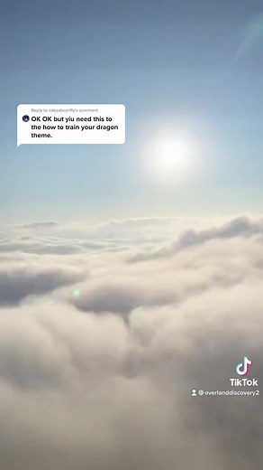 Reply to @zabzabcanfly OK there were a few requests for this ahah #fyp