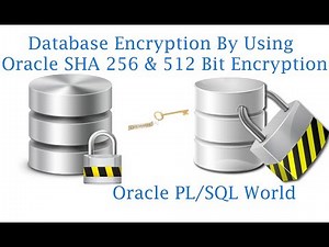 How to use Oracle SHA 256 Bit & 512 Bit Data Encryption Algorithms?