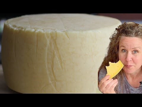 How To Make A Natural Rind Butterkäse [Excellent For Beginner Cheesemakers!]