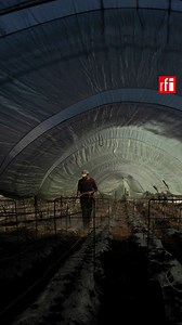 235K views · 3.9K reactions |  El fotógrafo mexicano Cristopher Rogel Blanquet ha documentado durante tres años el uso masivo de agroquímicos en el cultivo de flores, en Villa Guerrero. Su trabajo se exhibe actualmente en el reconocido festival de fotoperiodismo Visa pour l'image, en Perpiñán. Se lo contamos en Carrusel de las Artes - RFI / France 24. | RFI Español | Facebook