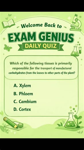 Hey geniuses, Can you answer this questions??#utmeprep#waecquiz#jambquiz#biologyquiz#fyp #studywithme📚