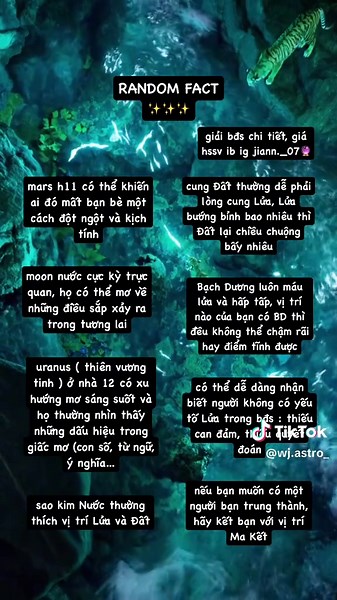 Understanding Zodiac Signs: Earth and Fire Elements