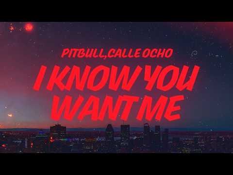 Pitbull - I Know You Want Me (Calle Ocho) (Lyrics)