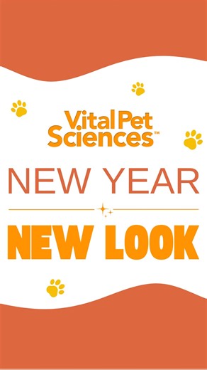 Meet the refreshed PCQ Pet 🧡 The same trusted, research-backed formula — now with a new look and feel. Carefully redesigned to better serve you and your pup, inside and out. Head to our website to check it out, learn more, & order yours today🛒 | Vital Pet Sciences