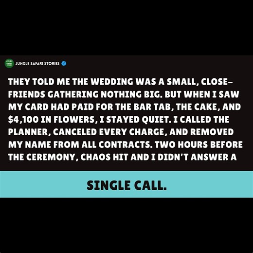 8.3K views · 63 reactions | They Said It Was a Small Wedding. I Found $4,100 Charged to My Card—flowers, Bar, Cake. I Canceled Everything. Two Hours Before the Ceremony, Chaos Hit. I Didn’t Answer a Single Call. | Jungle Safari Stories | Facebook