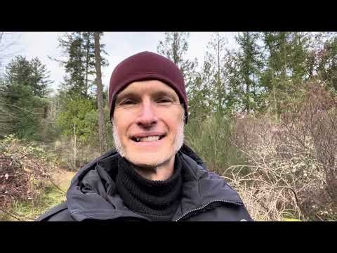 Overcoming Regret: How to Heal and Move Forward with Mindfulness