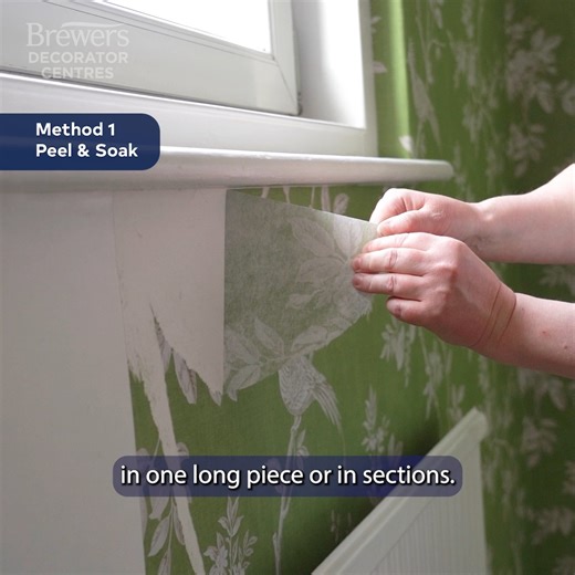🎥 Stripping wallpaper? Start here. 👋 Our step-by-step video guide shows you exactly how to remove wallpaper the easy way – plus all the tools you’ll need to get the job done right. From soaking and scoring to scraping and prepping, we walk you through every stage. 🛠️ Watch the full video now and get started. 🛒 All tools and products featured are available at your local Brewers store or online at https://www.brewers.co.uk/ #BrewersDecoratorCentres #WallpaperRemoval #HomeImprovement #PaintingA