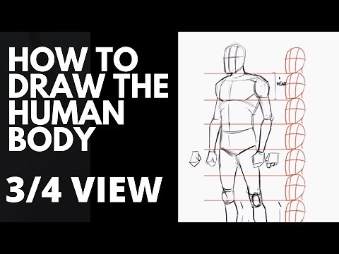 How To Draw The Human Body From 3/4 View