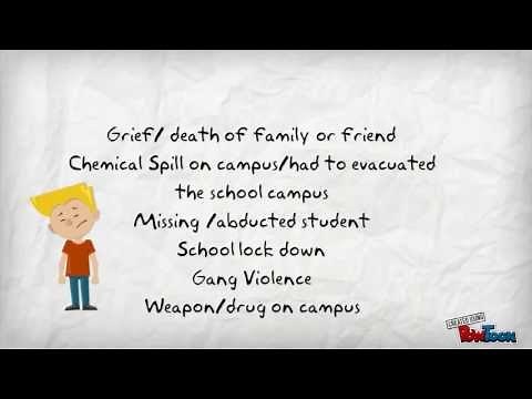 The Role of a School Counselor