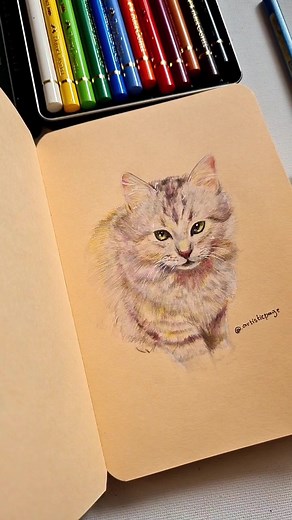 #artwork #art #tutorial #drawing #sketchbook #cat #cute #realistic #foryou #coloredpencils