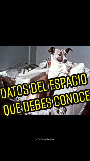Datos Curiosos del Espacio que Debes Saber