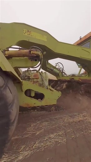 7.2K views · 204 reactions | Machine World | Machine World | Facebook