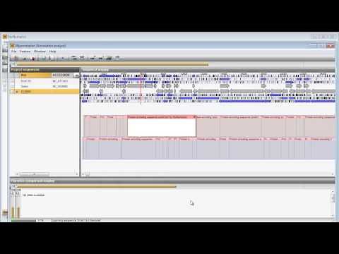 Genome Annotation (BioNumerics 7)