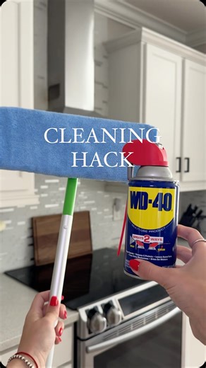 Alina Zaytseva 🌟 on Instagram: "SECRET cleaning hack 👀 - using WD-40 on stainless steel and to remove rust. Get the perfect polish and shine ✨ #clean #cleaninghacks #cleanhome #cleanwithme #cleaningtips #lifehack #hacks #hacksandtips"