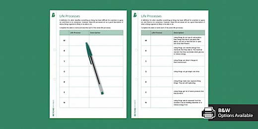 MRS GREN Life Processes Worksheet