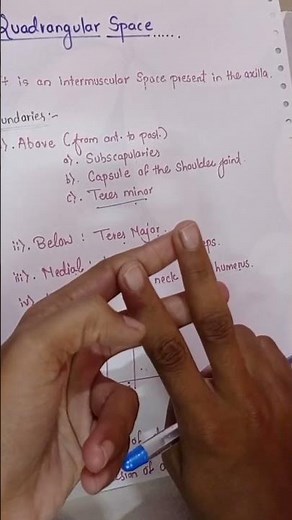 Quadrangular space#anatomy #mbbs #youtube #medicos #youtubeshorts #upperlimb