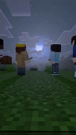 Stranger Things Minecraft Collab ☠️