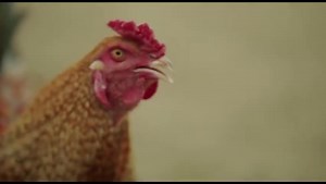 3K views · 61 reactions | Do's and Don'ts during Lightening. Be Safe Be Prepared.... National Disaster Management Authority, India | National Disaster Response Force, India | Facebook