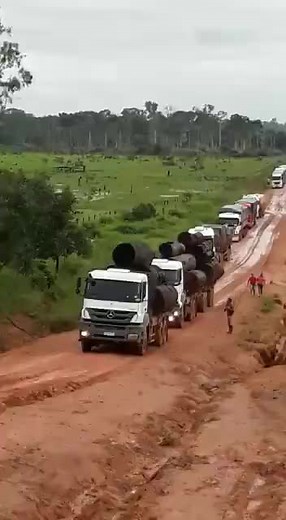 Log Transport Convoy on Rural Road