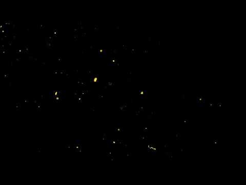 NEW gold particles overlay smooth dust relaxing video effect