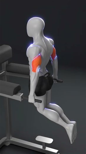 How To Do Correct Form Exercise For Dips