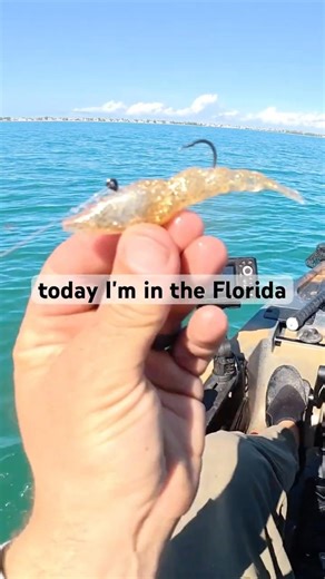 This Shrimp Lure Is King For Jigging Biggest Yellow Jack I’ve Ever Seen