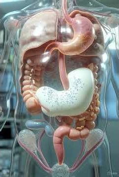 “What Happens When You Eat Yogurt? Mind-Blowing 3D Inside Body Animation!”