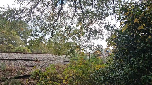 12 reactions | Northbound CSX intermodal train I126 leaving Manchester, Georgia on the Lineville Subdivision on 11-09-2025 @ 10:07am. | Trackside Clix | Facebook