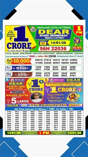 Dear Lottery 1 PM Draw Result 14.01.2026 | Nagaland Lottery | Lottery Sambad Official