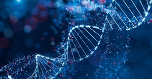 Le génome humain stocké sur une "carte mémoire", pour ressusciter l'espèce en cas d'extinction