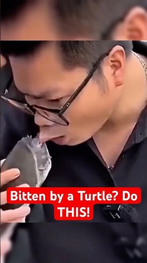 What to Do If a Turtle Bites You (And Won’t Let Go)