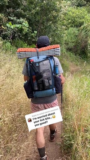 Hiking through tall grass? Ticks are always a risk when hiking. Learn how we protect ourselves with proper clothing, bug repellents, and nightly tick checks. Plus, what to do if you get bitten and how to stay healthy outdoors. | Thruhikers