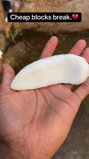 Nutrifix Licking Blocks are designed to last 🧱🐄 #NutrifixLickingBlock #DurableBlocks #DryCowNutrition #LivestockSupplements #DairyFarming