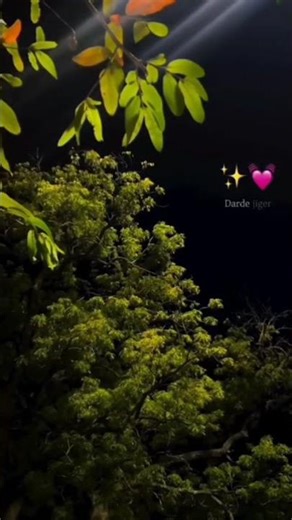 ab jaane hum😗💗 ye pyar kya hai song | asthetic status video| #lyrics #shorts