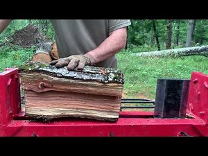 Harbor Freight PREDATOR 20 Ton 212cc Log Splitter Making Firewood After One Year