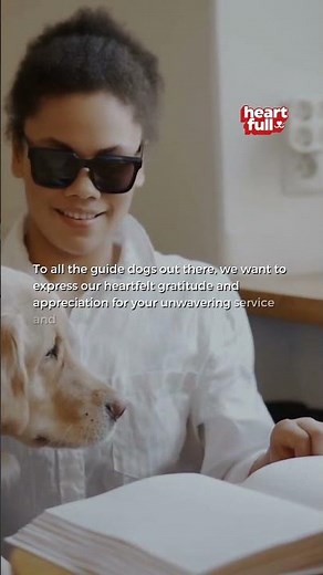 Celebrating International Guide Dog Day The Amazing Work of Guide Dogs