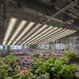 [Hot Item] IP65 Full Spectrum LED Grow Lm301h Samsung IP54 Bloom Plant Growing Available 1000W 240W 320W 480W 800W Red-Emitting Options