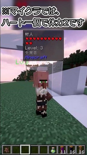 【マイクラ】 MODの紹介 Auto Leveling