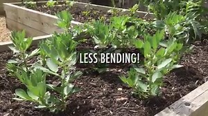 The Benefits of a Raised Bed Garden https://gardenplanner.motherearthnews.com/ | Mother Earth News