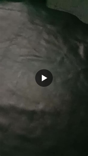 #aw #cowleather #ukhides #womenboots #longboots #aw26 #leatherbags #shoppers #crunchnappa #oilyleather #waxyleather | Vasan Sai