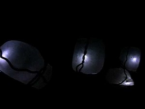 Antarctica: Light installation w/Arduino   PD