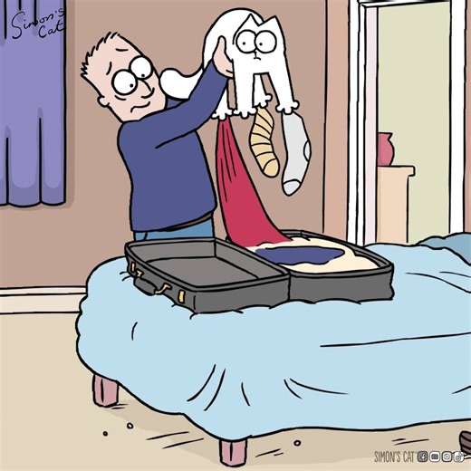 833K views · 33K reactions | Going anywhere?!  | Simon's Cat | Facebook