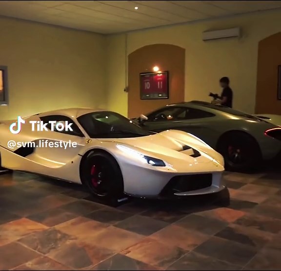 Rare White Lions and Luxury Cars in Qatar