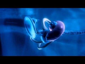 The Inner Ear - hear-it.org