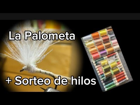 ¡Predator Fly está emitiendo en directo!